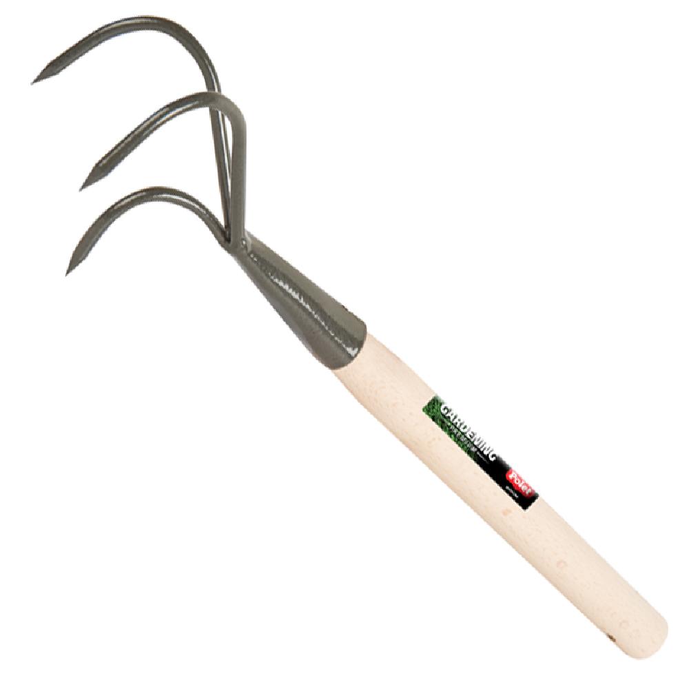 HYDRANGEA anomala ssp. petiolaris 'Silver Lining' - Hortensia grimpant ...